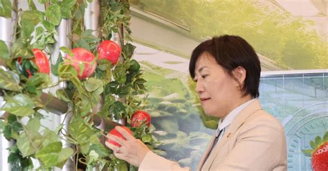 농식품부 2029년까지 온실 35 스마트팜으로밭작물 20 스마트화