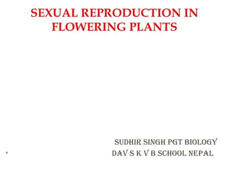 Seed Structure Parts Of A Seed Types Pptx