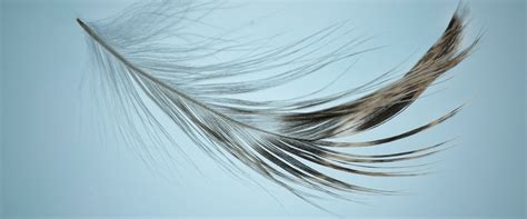 why popular apps have node js on their backend proxify