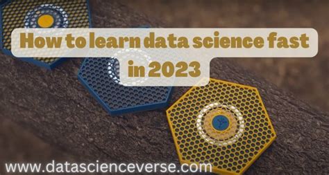 how to learn data science fast in 2023 r datascienceverse