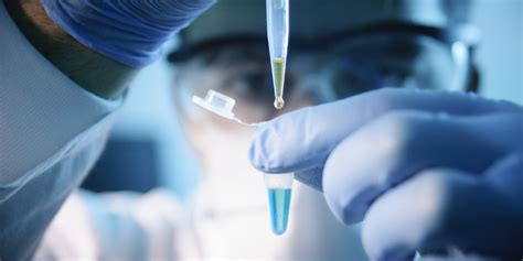 Following Gays Resignation For Alleged Plagiarism Doctors With