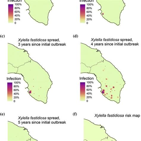 Typical Model Output From A Single Simulation Of The Model With Download Scientific Diagram