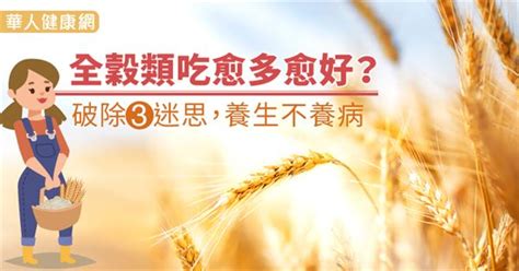 全穀類吃愈多愈好破除3迷思養生不養病 華人健康網 專業即時優質的健康新聞及資訊分享平台業即時優質的健康新聞及資訊分享平台