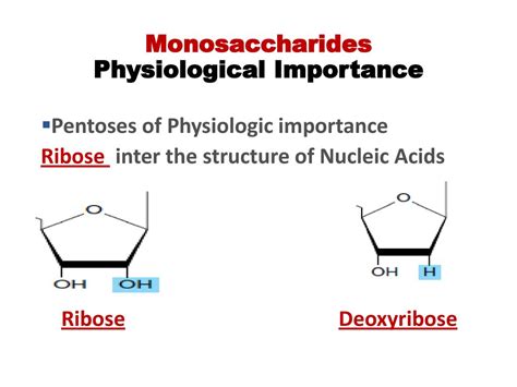 Carbohydrates Biochemistry Ppt Download