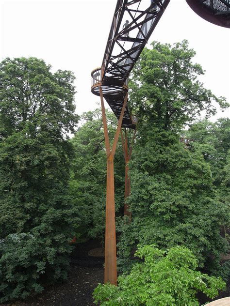 INDA DESIGN STUDIO BLOG Tree Walks