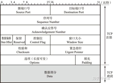 简述tcp首部中每个字段的功能 漫话tcp Ip Tcp （3） Csdn博客