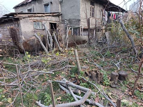 სასოფლო სამეურნეო მომსახურება ტერიტორიების დასუფთავება მეორადი და
