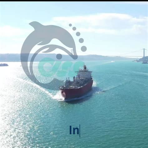 Ciss Group On Linkedin Control Ship Inspection Survey Import