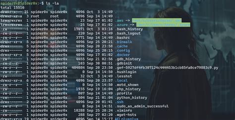 linux forensics in depth amr ashraf