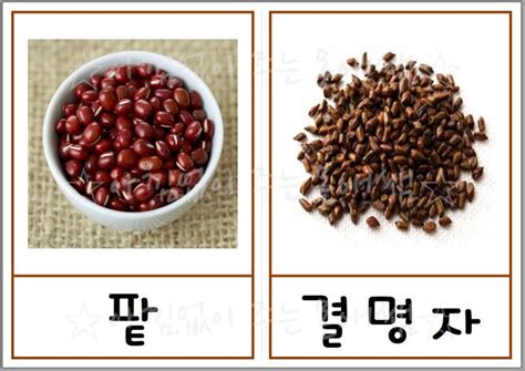 가을 벽면 게시자료 환경구성 네이버 블로그