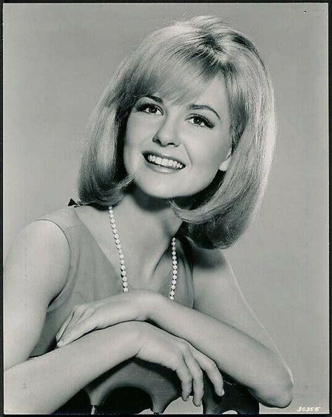 1960s Original Photo Shelley Fabares Cute Young Chic Actress Coachâ S