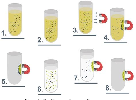 Figure 1 From Understanding Biomagnetic Separation Semantic Scholar