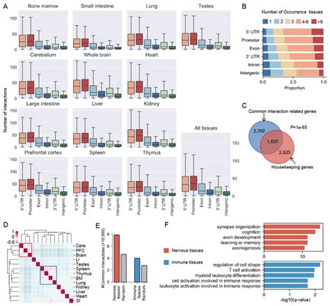 Basic Characteristics Of The Reconstructed Cis Regulatory Interaction