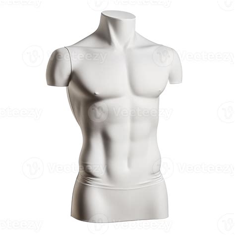 Mannequin Torso Display For Clothing Showcase 49225711 Png
