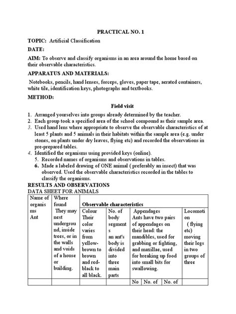 Classification Sheet Pdf Leaf Taxonomy Biology
