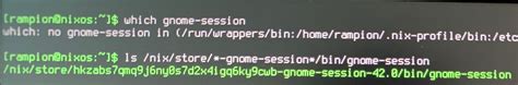 NixOS 22 05 GNOME ISO Didn T Put Gnome Session In PATH Help NixOS