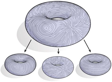 17 Above The Tangential Component Of The Normal Vector Field Below
