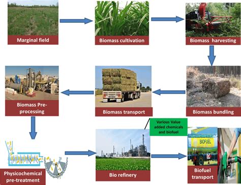 Chart Of Various Steps Involved In A Biomass Supply Chain Download