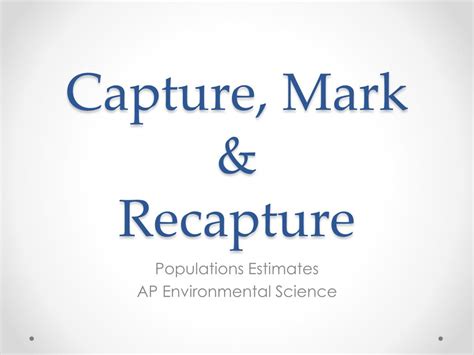 Ppt Capture Mark And Recapture Powerpoint Presentation Free Download Id2565306 Ppt Capture Mark And Recapture Powerpoint Presentation Free Download Id2565306