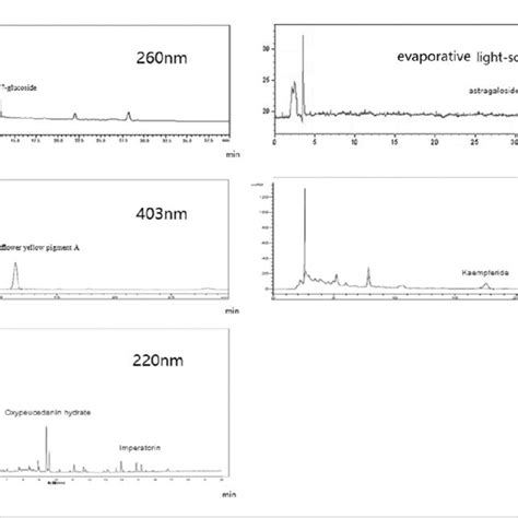 High Performance Liquid Chromatography Photo Diode Array Detection Of Lc09 Download