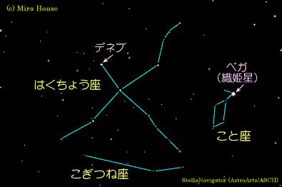 星座入門 はくちょう座