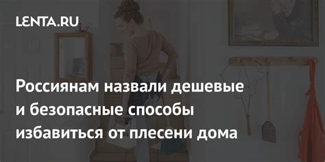 Россиянам назвали дешевые и безопасные способы избавиться от плесени дома Дом Среда обитания