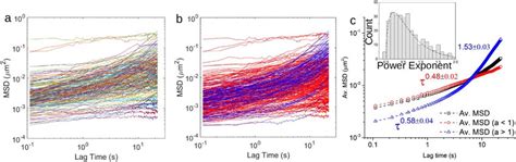 A The Msd Curves As A Function Of Lag Time τ Calculated For All The Download Scientific