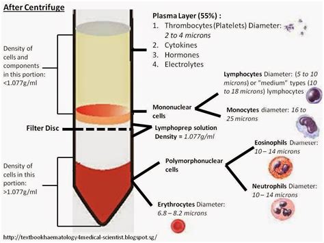 Haematology In A Nutshell Pbmc Isolation Using Lymphoprep