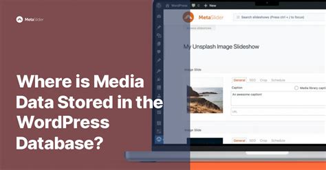 Wordpress Media Data Stored In The Sites Database