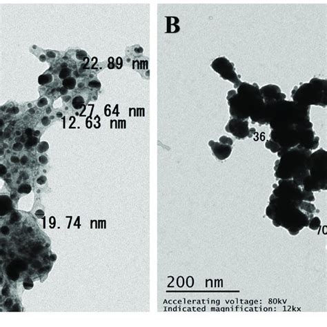 Dls Pattern Of Ag Nps A Na Nps B Aq Nps Download Scientific Diagram