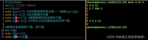 Shell脚本的编写（输入、输出、变量、数组等的使用规范及实例）shell 输入变量 Csdn博客