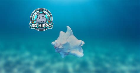 Shell Model By 3dhippo Download Free Stl Model