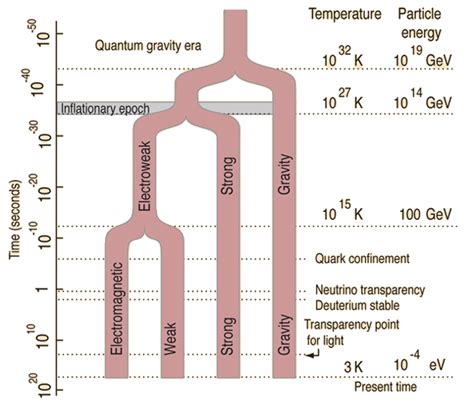 Unification Of The Fundamental Forces