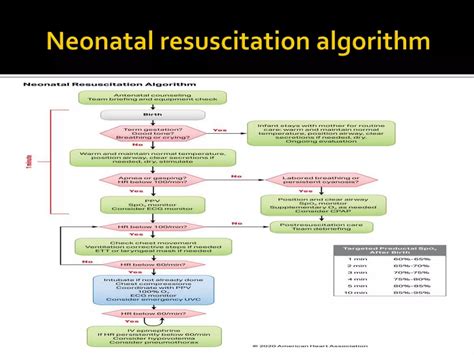 Neonatal Resuscitation Pptx