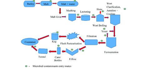 Beer Brewing Process Flow Chart