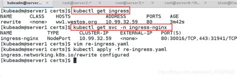 kubernetes k8s ：ingress 配置（tls certificates basic authentication ）和