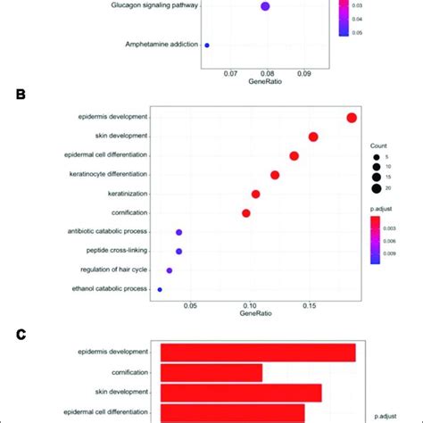 A Kegg Dot Plot Of Functional Enrichment In Co Related Pathways