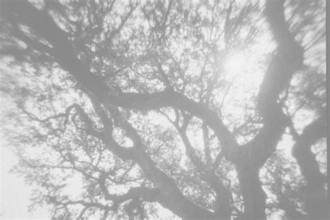 Easy Guide To Developing Black And White Film At Home Shoot It With Film