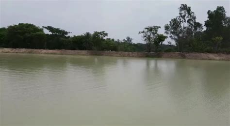 Ramesh Reddy Gajjala Posted On Linkedin