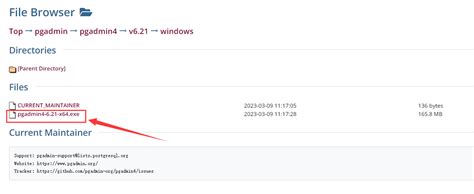 WSL PostgreSQL pgAdmin 环境搭建 LRL 的博客