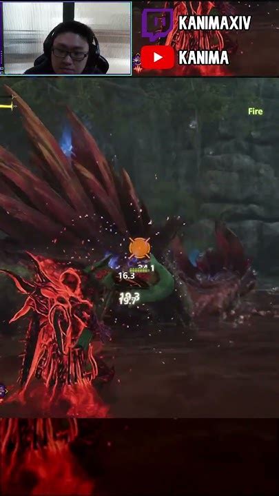 Perfect Blocks Hard Counters Mizutsune Shorts Mhw Monsterhunter