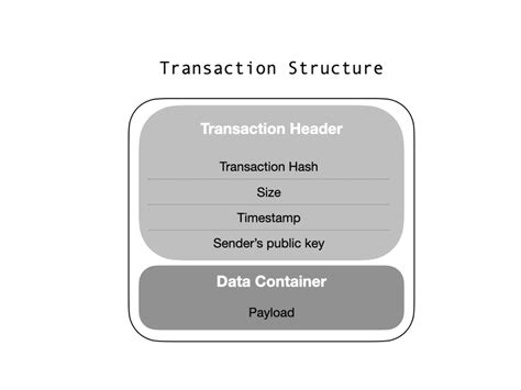 1 Structure Of A Generic Transaction Download Scientific Diagram