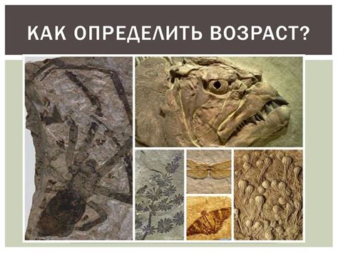 Геологическая история и развитие земной коры презентация онлайн