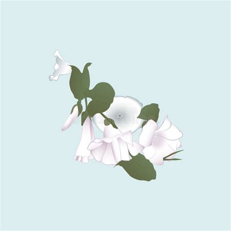 Vector Colorful Illustration Of Branch Of Bindweed Stock Vector