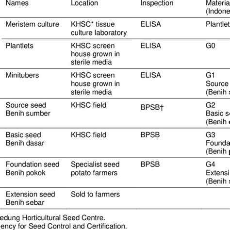 Seed Potato Production Flow For Central Java Seed Potato Scheme Download Scientific Diagram
