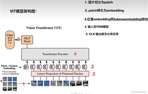 Vitvision Transformer学习（一） 基础模型理解transformerhx461 Gitcode 开源社区