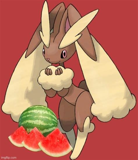 Lopunny With Big Melons Rlopunny