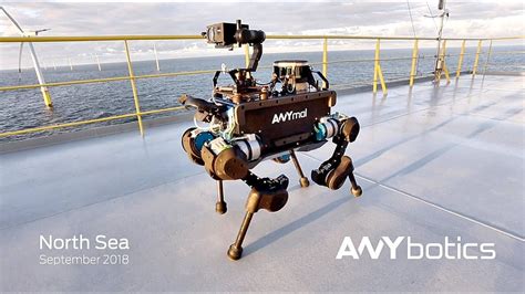 Anymal Robots Your Guide To The World Of Robotics
