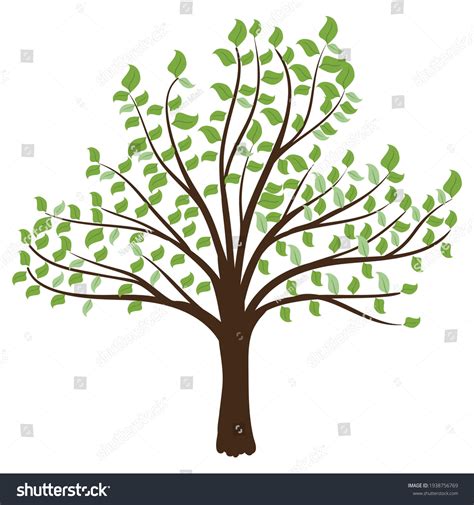 Green Tree Leaves Vector Outline Illustration Stock Vector Royalty Free 1938756769 Shutterstock
