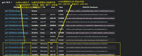 Golang Win Goland Golang Terminal Git